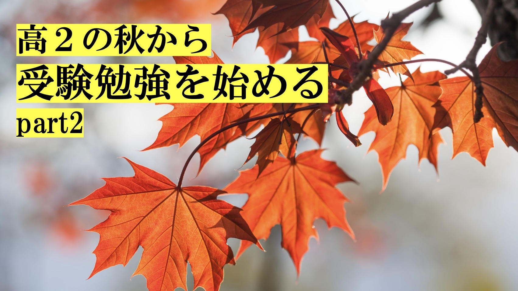 高2の秋に受験勉強を始めるなら何をする？ part2 - okke